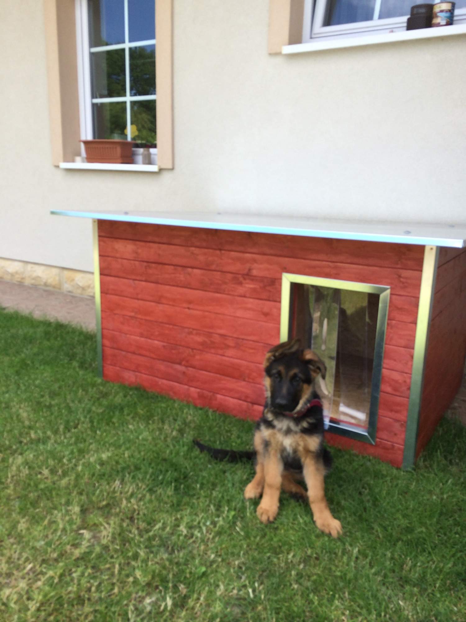 Psí Boudy našich zákazníků